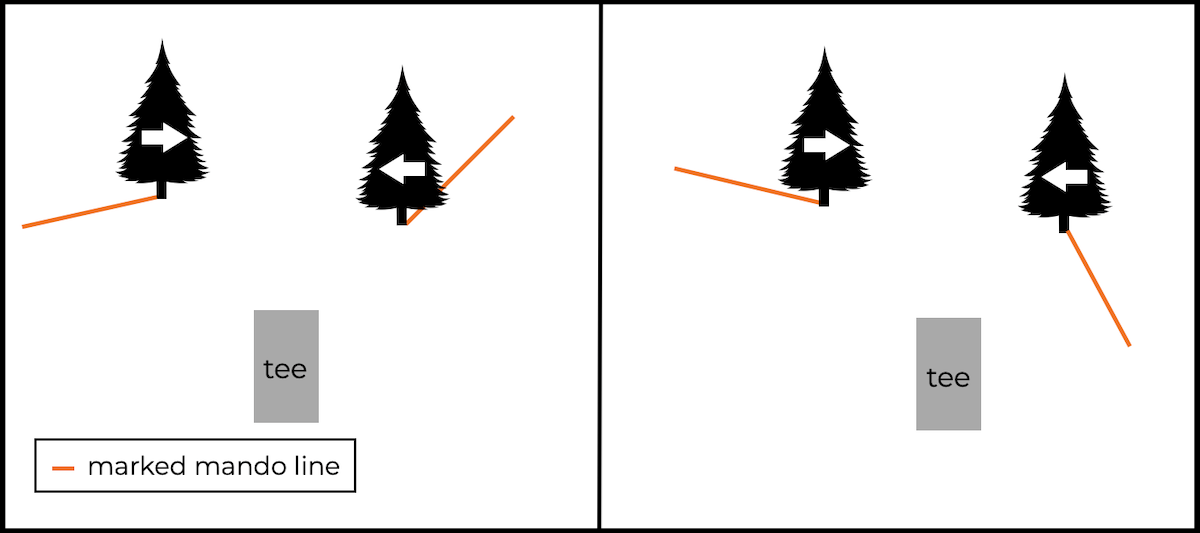 Disc Golf Rules Explained: Mandatories (Mandos)