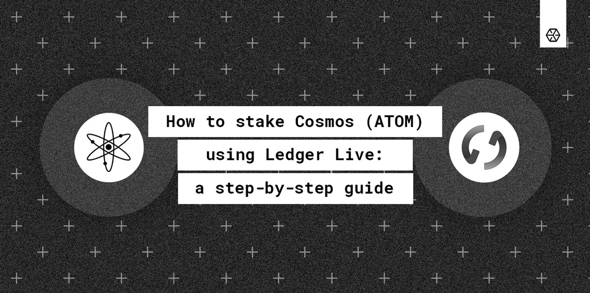 How to stake Cosmos (ATOM) using Ledger Live: a step-by-step guide | Everstake Blog