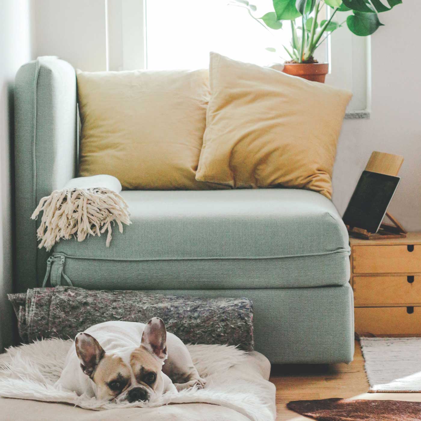 Fiberglass Replacement Windows and Doors | Infinity from Marvin