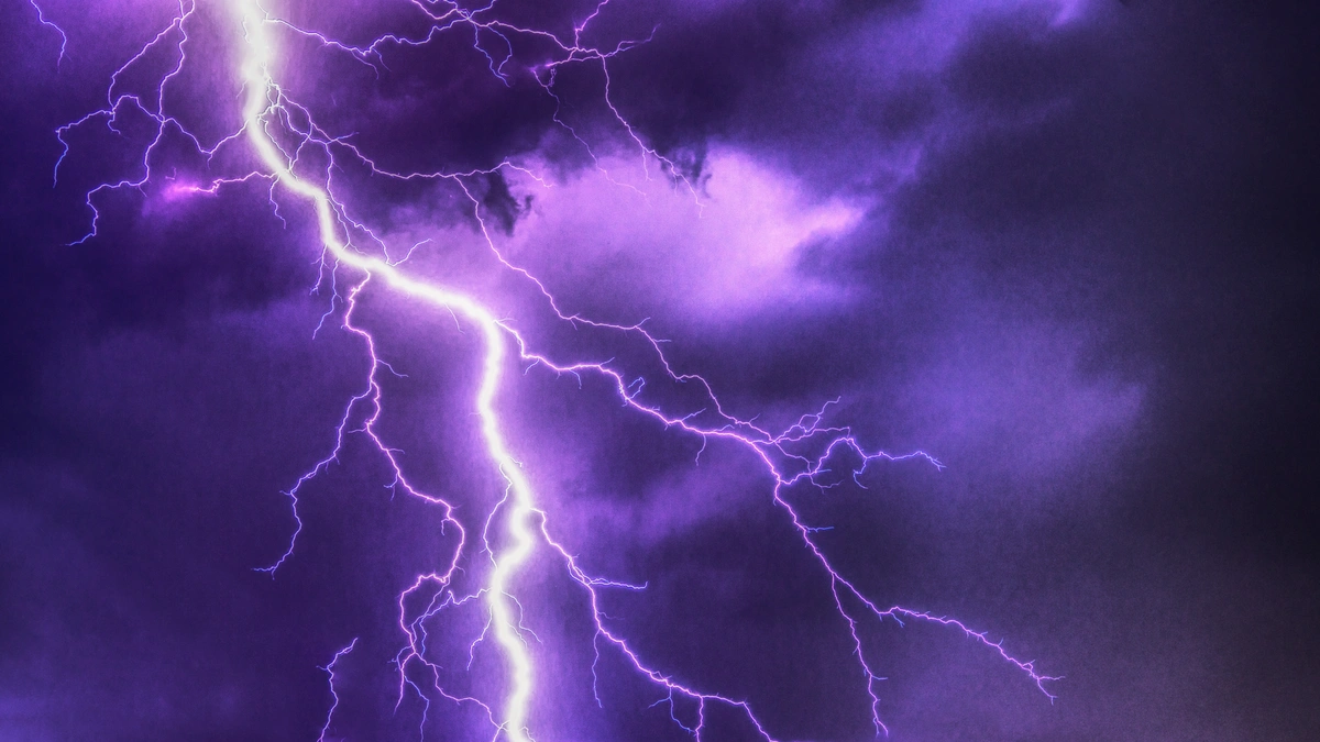 Incredible Electric Facts - Jellyfish Energy