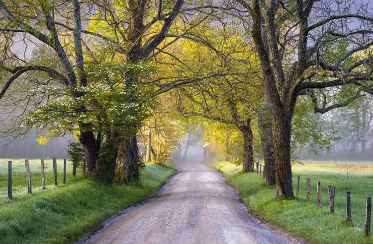 TN Title Loan | 7 of The Best Scenic Drives in Tennessee