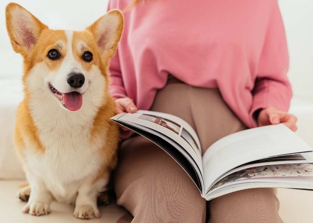 How Dogs Can Improve Children’s Literacy Skills - Pawrade.com
