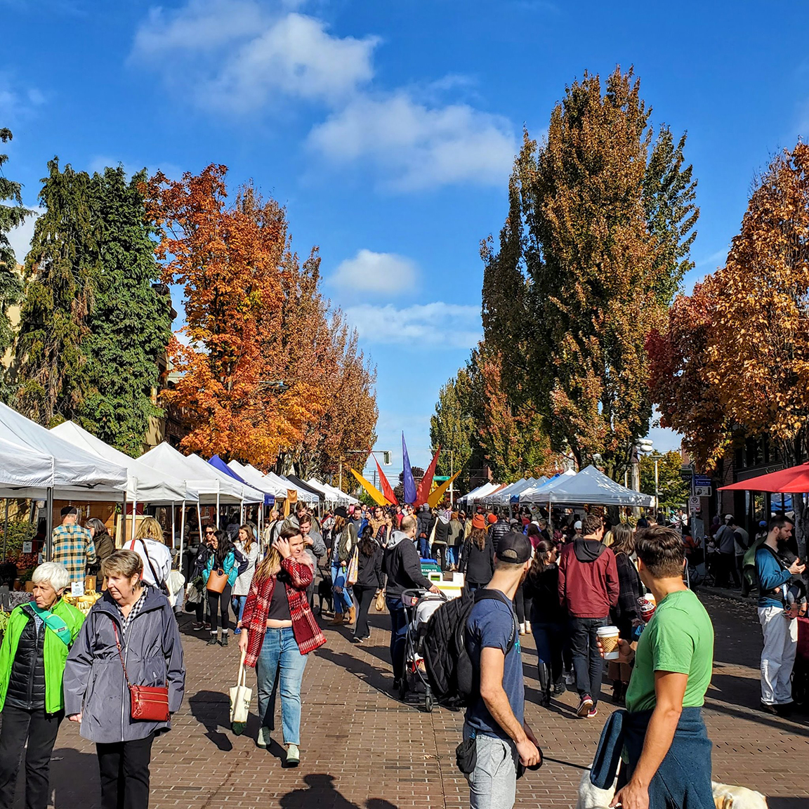 Seattle Motorcycle Trip Guide: 7 Stops in the PNW