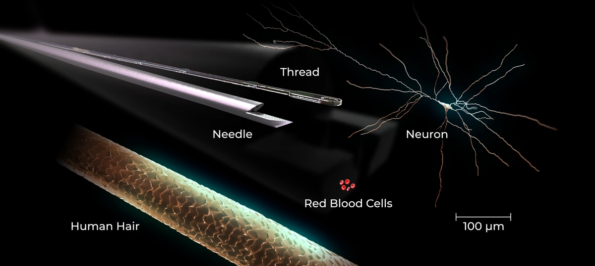 Building Safe Implantable Devices | Updates | Neuralink