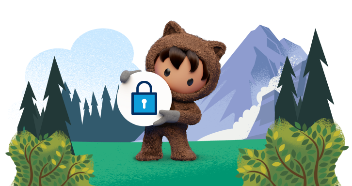 Contact Salesforce Security