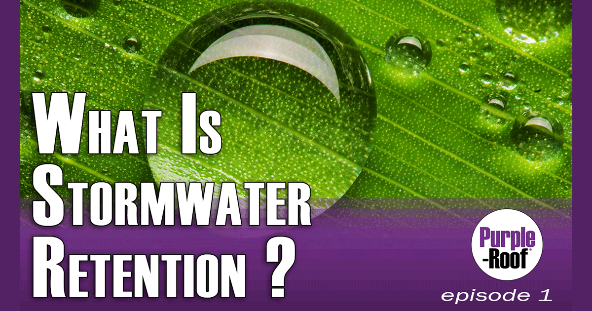 What is Green Roof Retention and why is it Important?