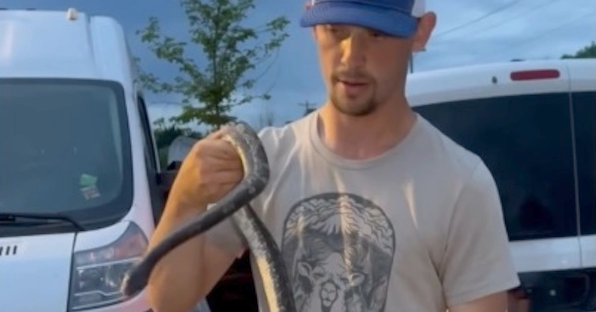 Pro Disc Golfer Loses Wild Snake In Tour Van For Over A Day (Videos ...