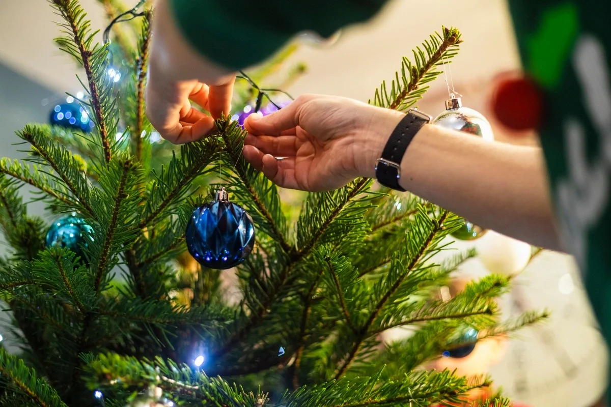 Deals of the week: Where to find the cheapest Christmas trees