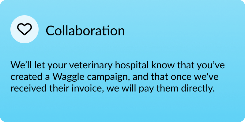How Waggle Works - Pet Caregivers