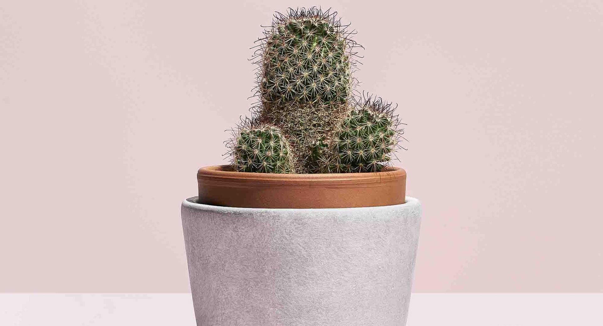 How Much Does Stendra Cost? | Hims