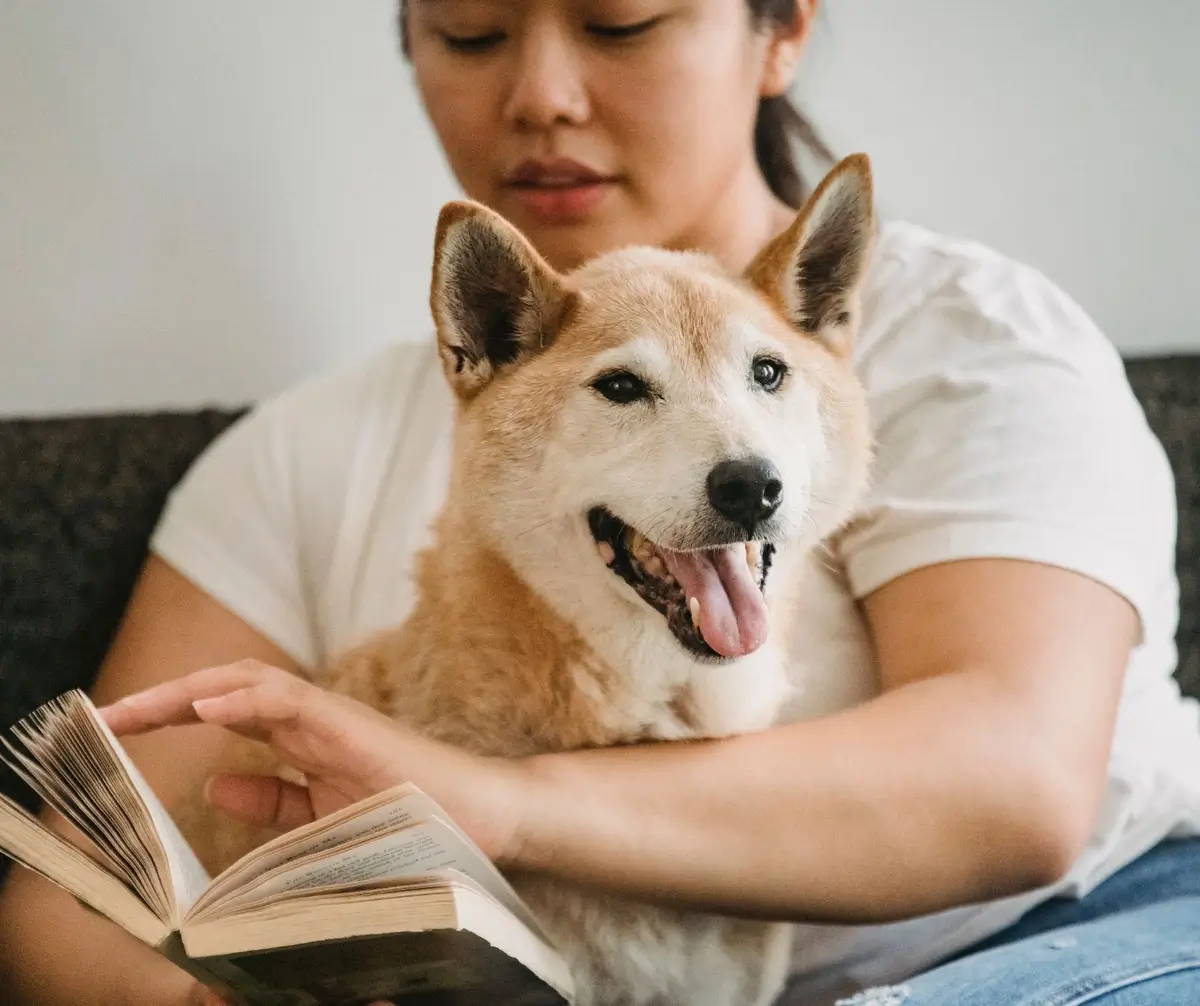 The Ultimate Guide to Adopting a Good Inside Dog | Pawrade - Pawrade.com
