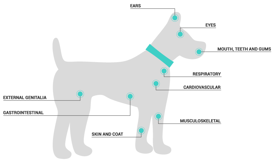 Health Check | PuppySpot