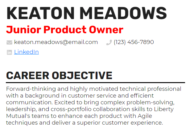 Objective For Job 50+ Best Resume Objective Examples Of 2025