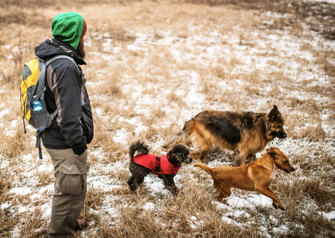 Brandywine Tails & Trails: Starting a Dog Hiking Business - Pawrade.com