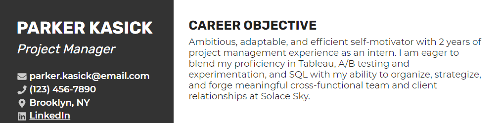 50+ Resume Objective Examples for Your Career in 2022