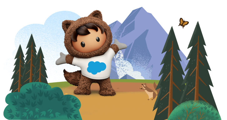 About Salesforce Security