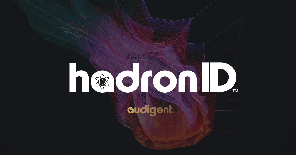 Hadron ID™ | Audigent | The Leading Data Activation, Curation and ...