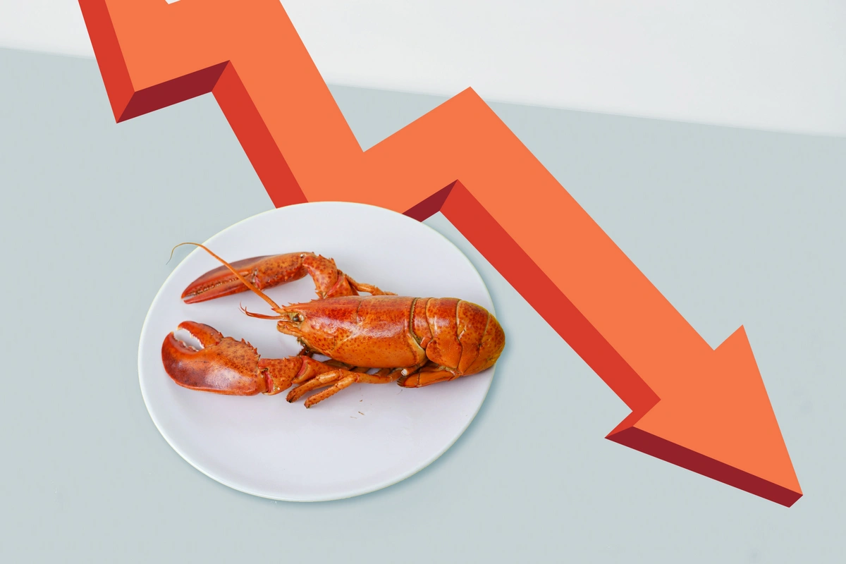 Red Lobster's Downfall: Mismanagement and Endless Shrimp | MyWallSt