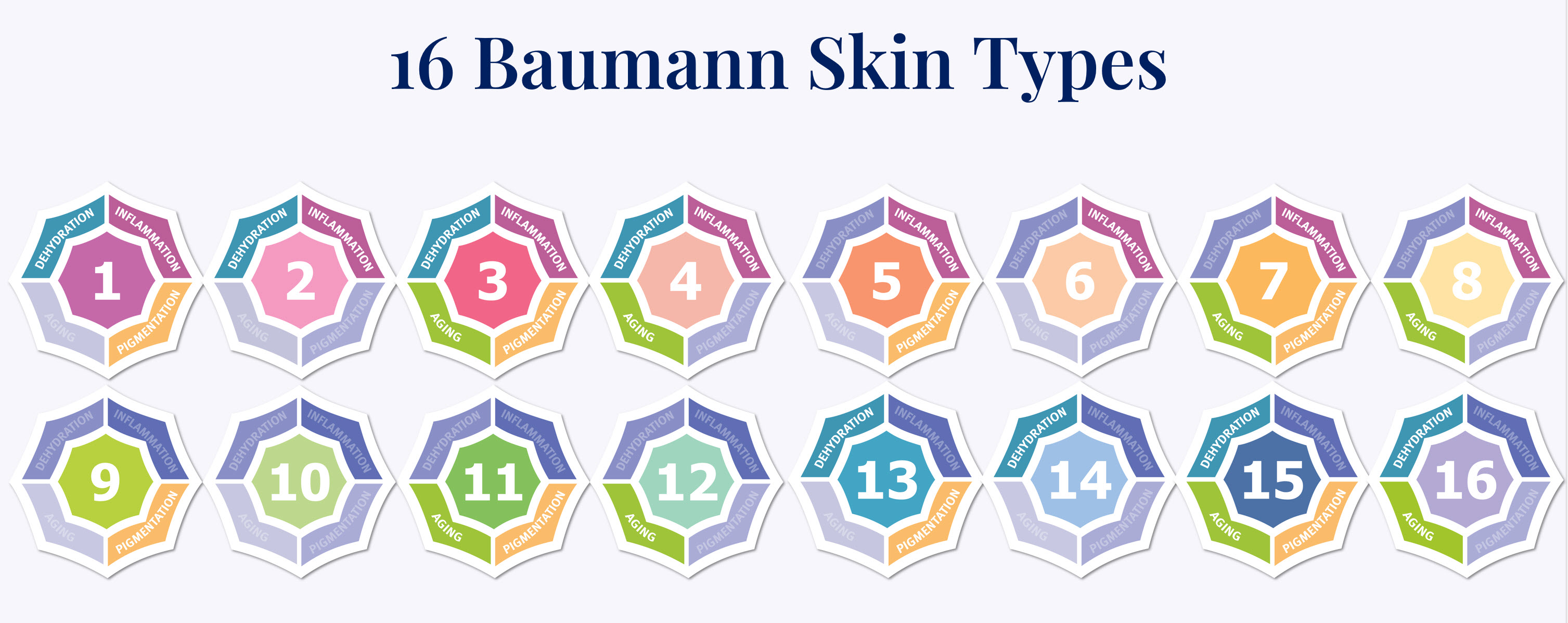 16 Baumann Skin Types