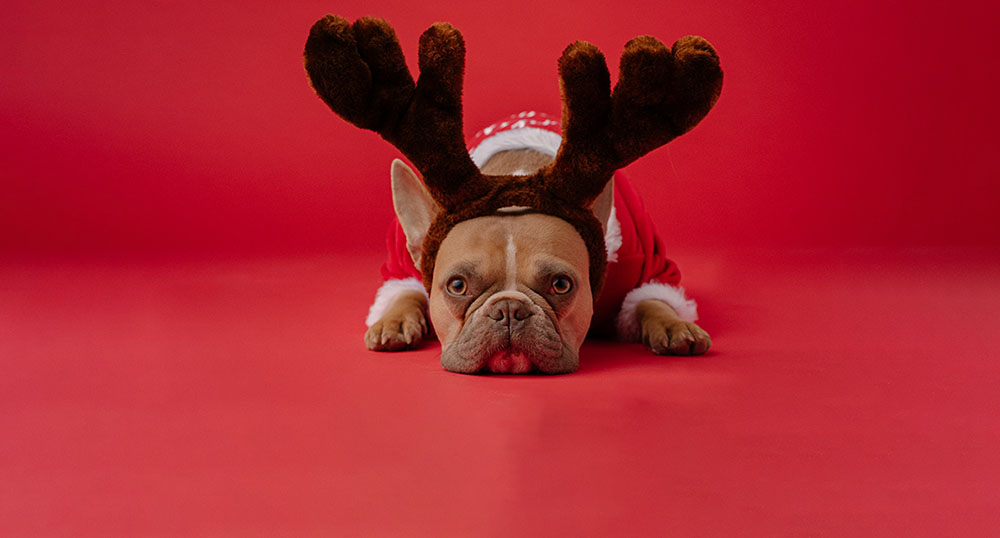 Best Places to Vacation to Avoid Christmas | Seven Corners