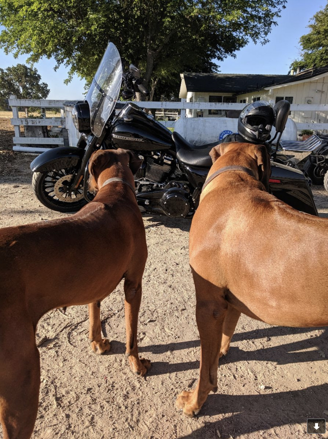 10-day California Motorcycle Trip Itinerary