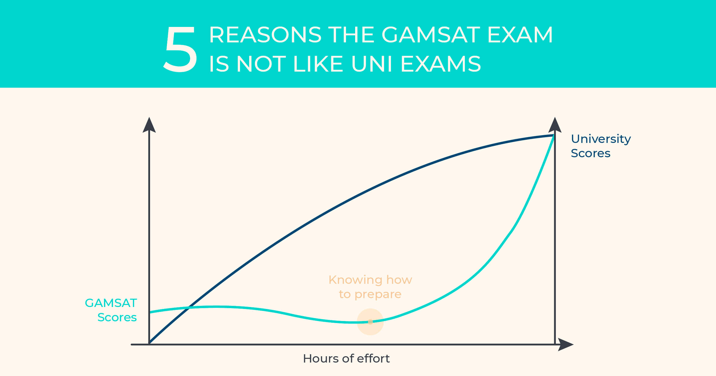 5 Reasons Why Your GAMSAT Prep Should Differ From Your Uni Exam