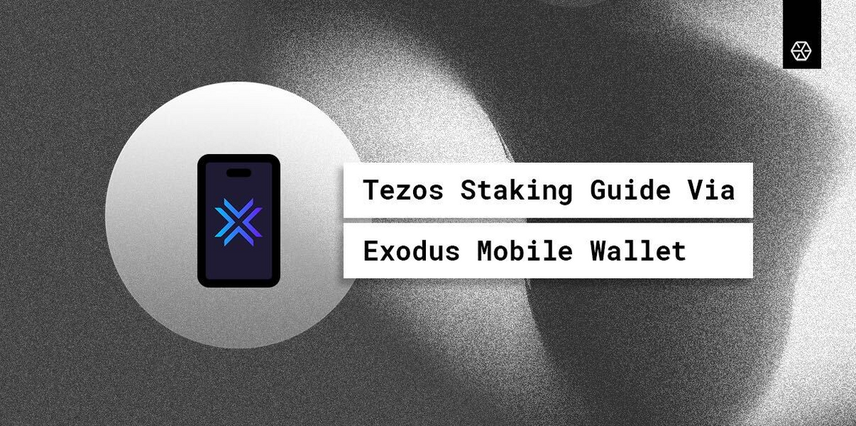Tezos Staking Guide Via Exodus Mobile Wallet | Everstake Blog