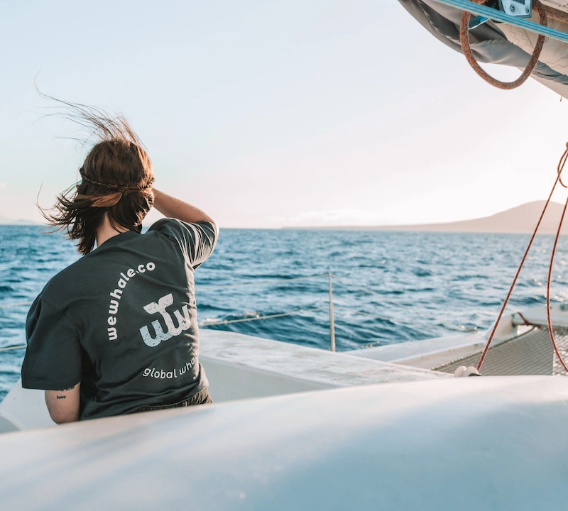 Biologiste Marin Avec Des Dauphins Devenez Biologiste Marin Le Temps