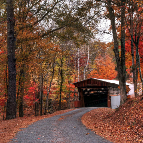 Take in The Fall Foliage in Sweet Home Alabama
