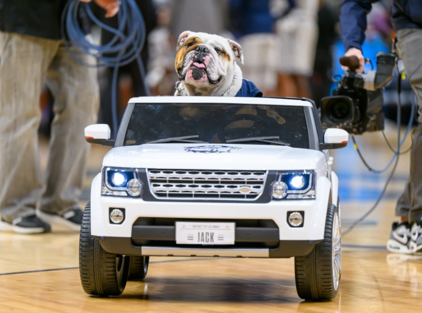 Meet 10 Collegiate Canine Mascots - Pawrade.com