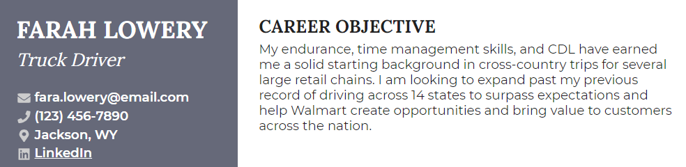 50+ Resume Objective Examples for Your Career in 2022