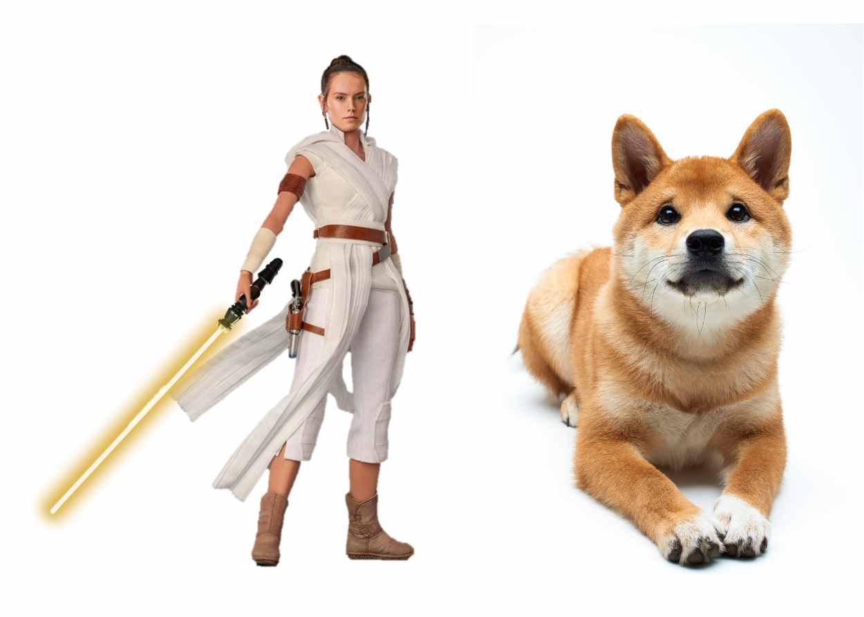 May the Fourth Be With You: Star Wars and Galactic Dog Breeds - Pawrade.com