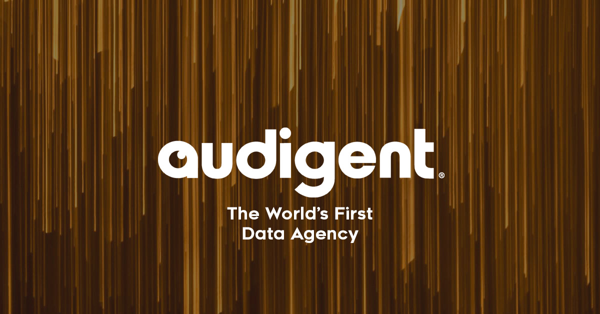 Data Agency | Audigent | The Leading Data Activation, Curation and ...