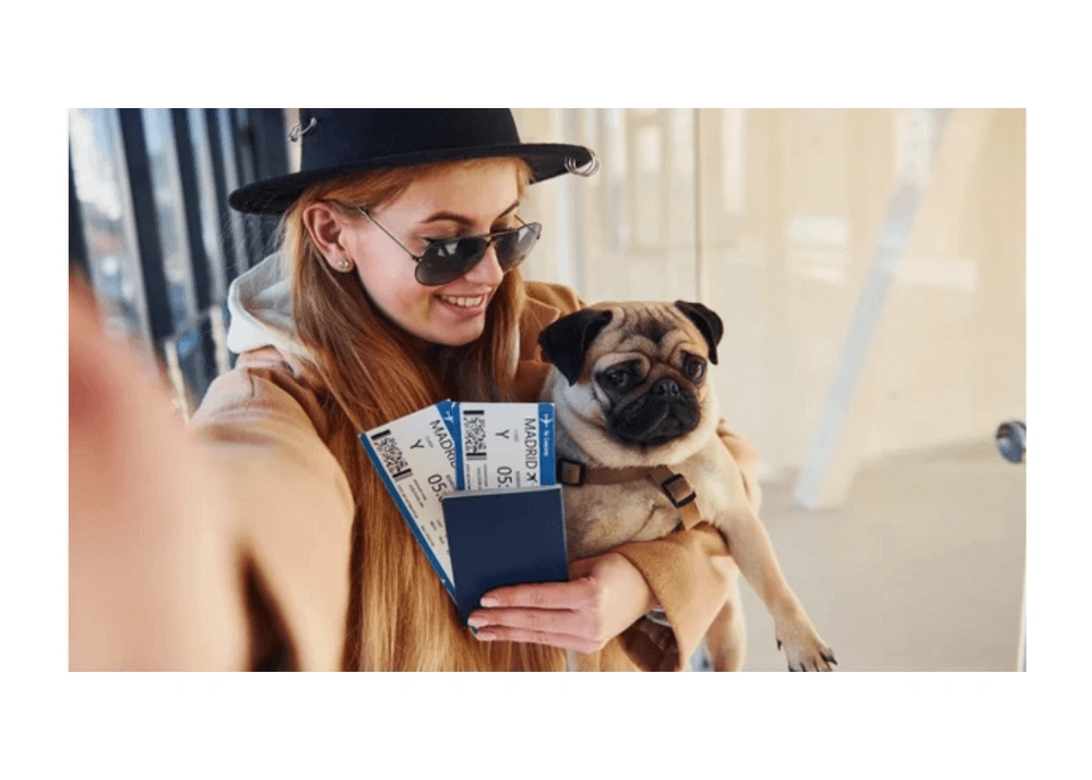 Flying With A Puppy: Airline Pet Policies and Tips - Pawrade.com