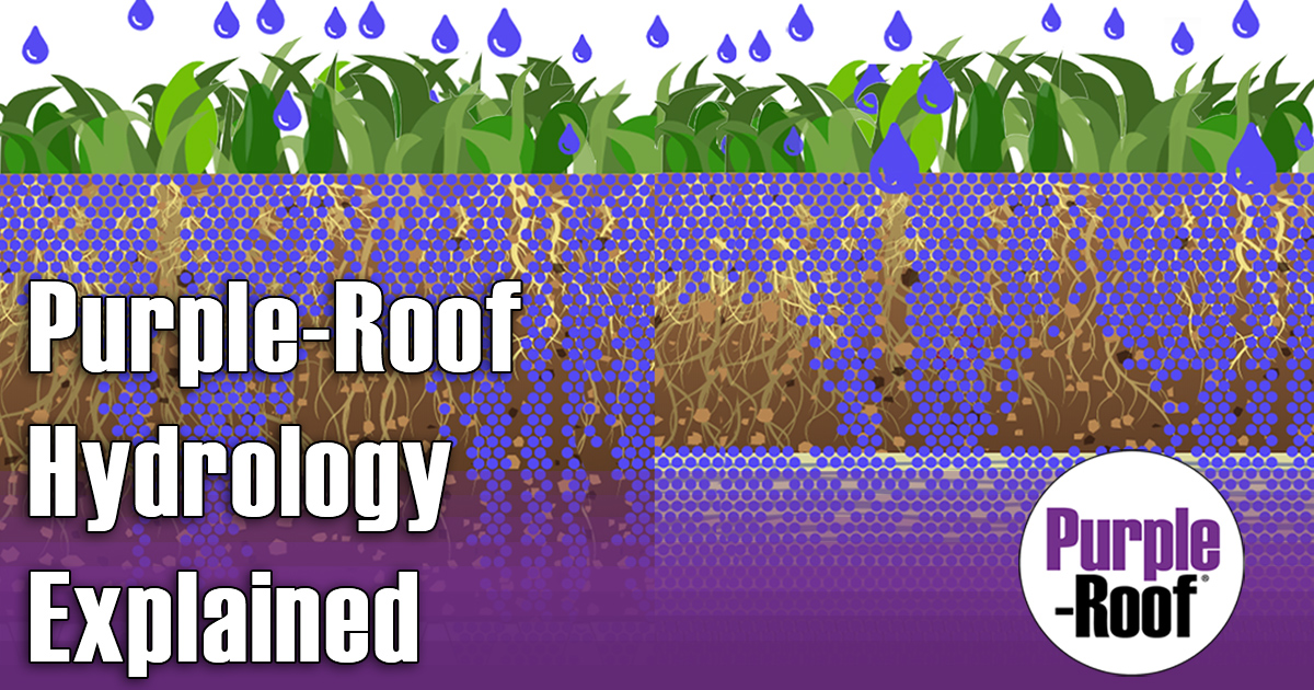 Purple-Roof Hydrology Explained