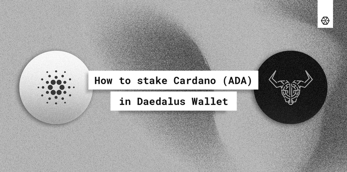 How to stake Cardano (ADA) in Daedalus Wallet | Everstake Blog