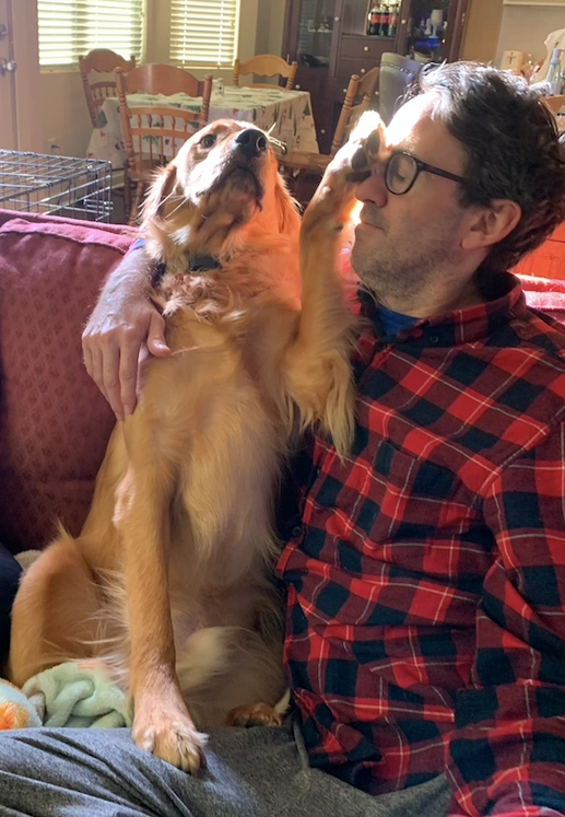 How Dogs Use Their 5 Senses to Navigate Through Life - Pawrade.com