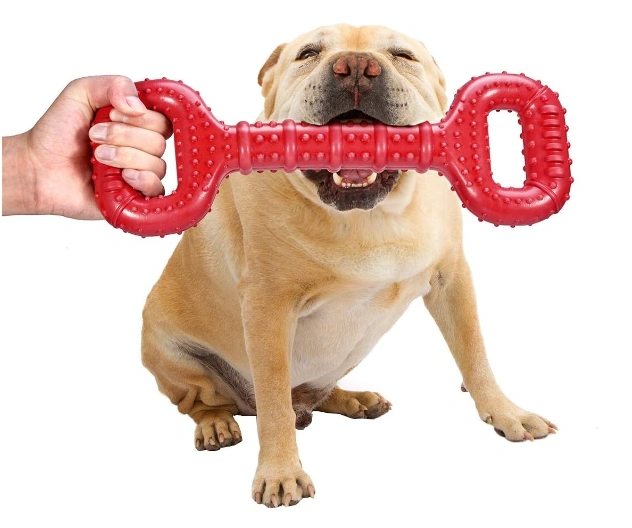 Must-Have Winter Gear For Dogs - Pawrade.com