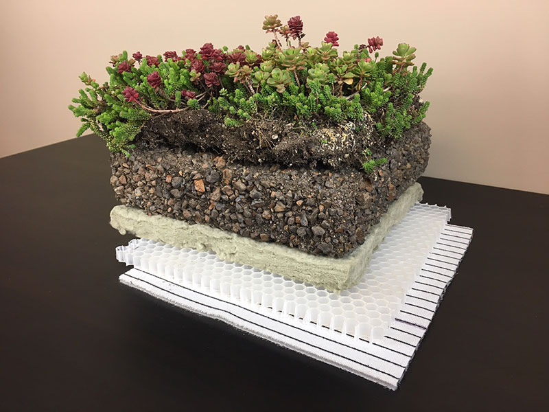 A Stormwater Tool that Doubles as a Green Roof!