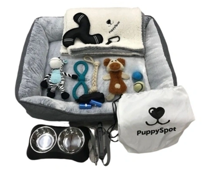 All About PuppySpot's Starter Kit & Other Dog Care Essentials | PuppySpot