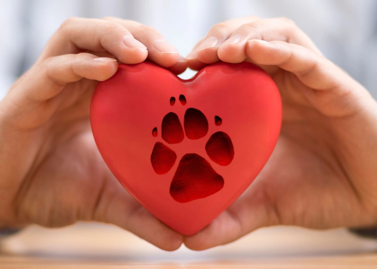 Pawesome Paw Print Keepsakes to Make With Your Puppy - Pawrade.com