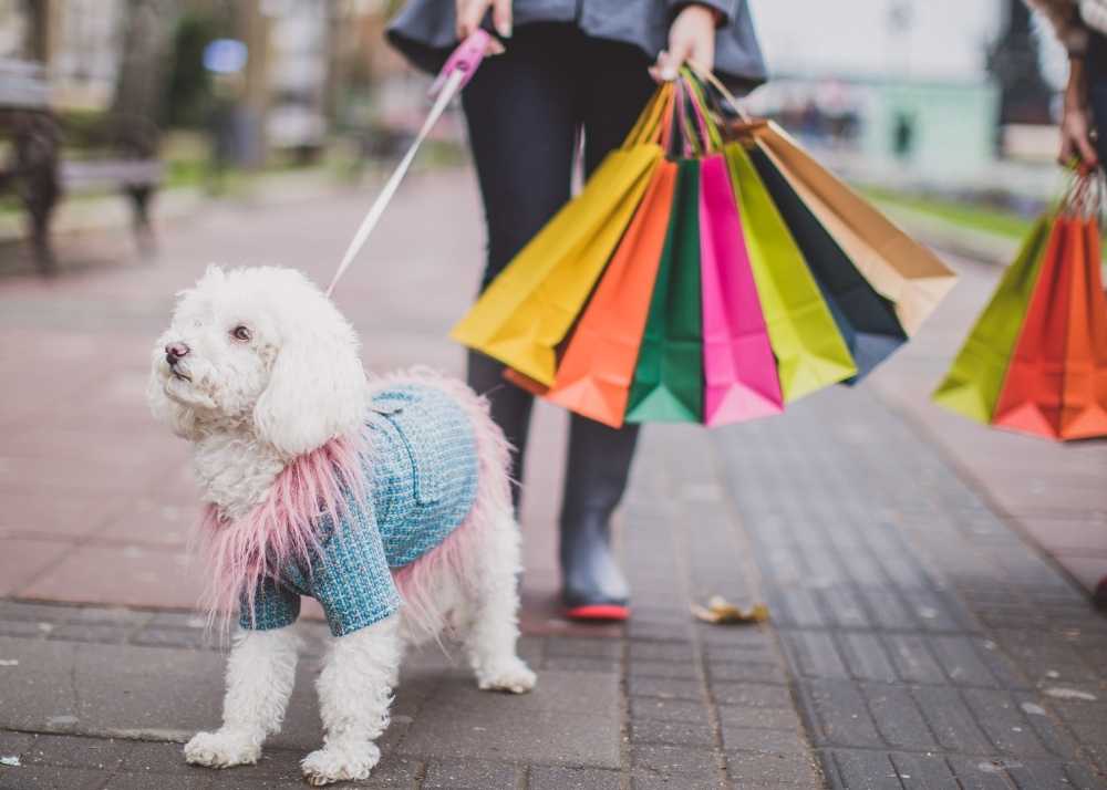 2024 Black Friday & Cyber Monday Dog Deals - Pawrade.com