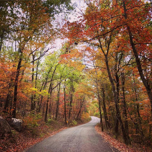 Take in The Fall Foliage in Sweet Home Alabama
