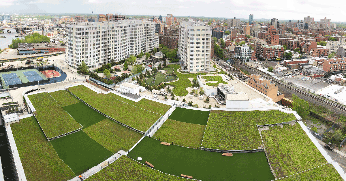 Green Roof Spring Maintenance