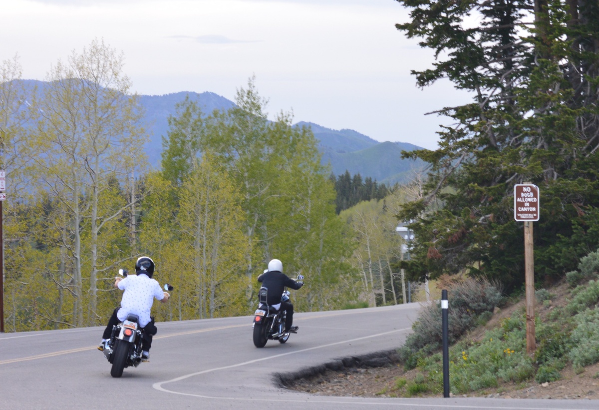 Motorcycle Tour: Utah's Upper Big Cottonwood Canyon