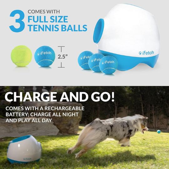 The Best High-Tech Gadgets For Dogs & Dog Lovers in 2024 - Pawrade.com