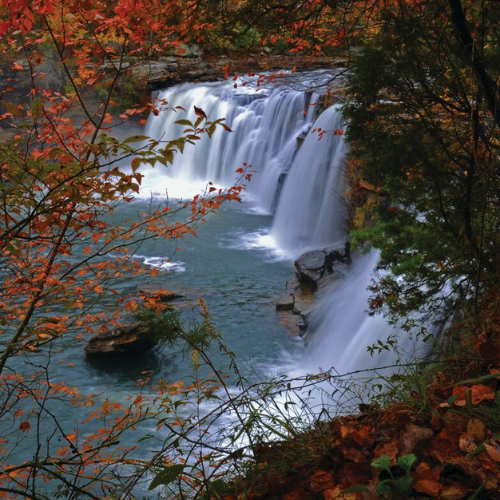 Take in The Fall Foliage in Sweet Home Alabama