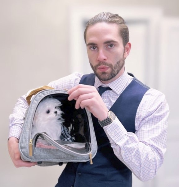 Cavalier King Charles Spaniels vs. Cocker Spaniels - Pawrade.com