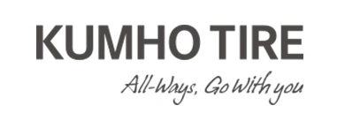 Shopping for Cheap Tires? 10 Brands Worth Considering - Tire Agent