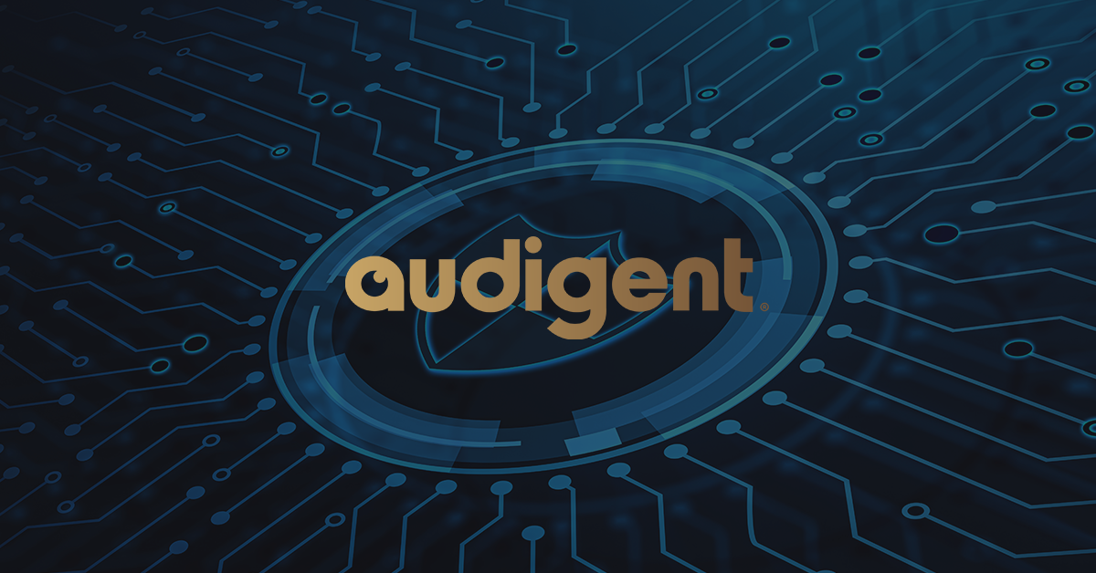 One Sheet for Advertisers | Audigent | The Leading Data Activation ...
